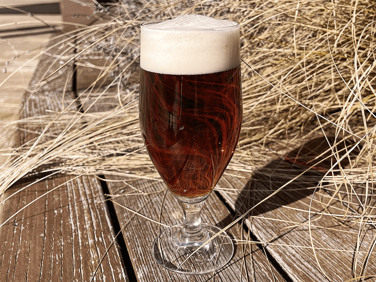 Homebrew Recipe | Irish Red Ale | EasyDens by Anton Paar